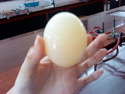 Humpty Dumpty: Eggs & Osmosis